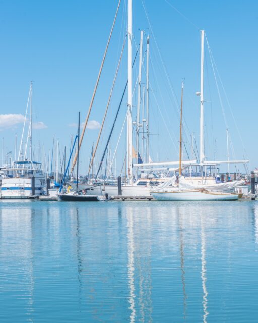 Basics Camera Flash and Speedlight explained with EXAMPLES.