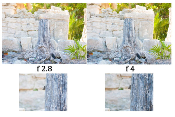 ESSENTIAL Theory Understanding Aperture Meaning in Photography