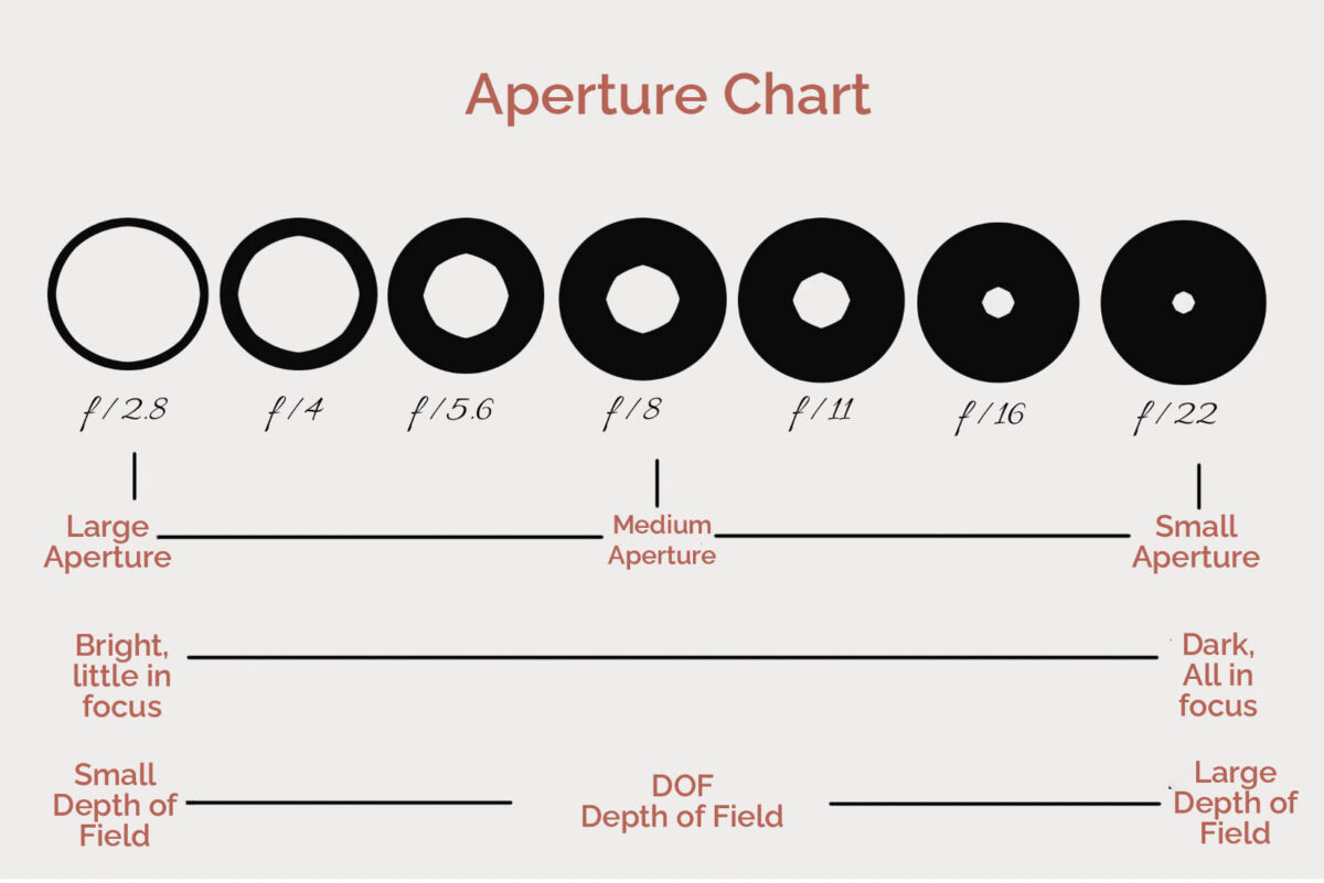 ESSENTIAL Theory Understanding Aperture Meaning in Photography