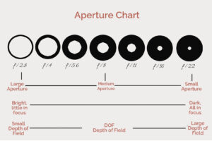 ESSENTIAL Theory Understanding Aperture Meaning in Photography