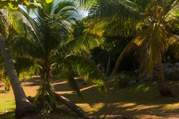 Basics of Exposure for Camera in Photography.