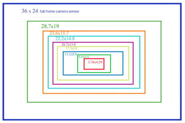 Camera sensor basics for beginners in photography.