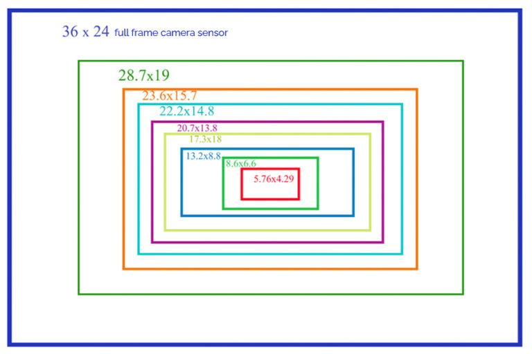 Camera sensor basics for beginners in photography.