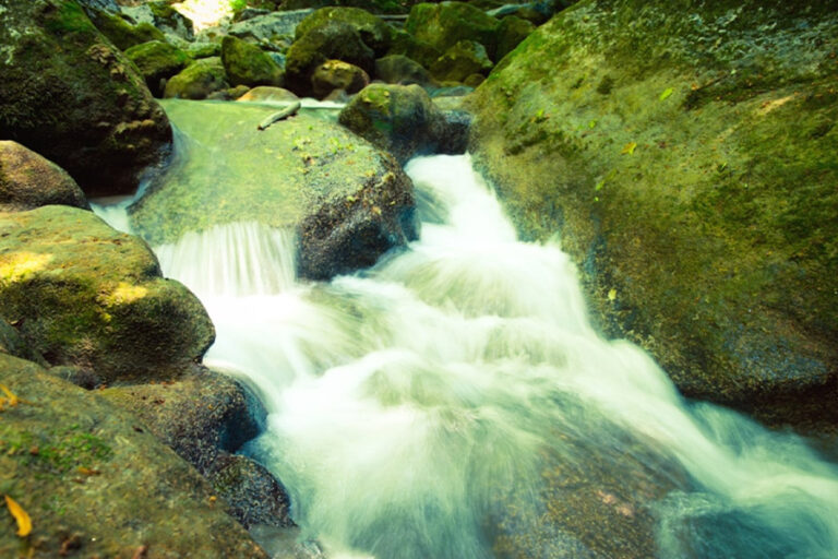 Easily explained SHUTTER speed in photography with examples.