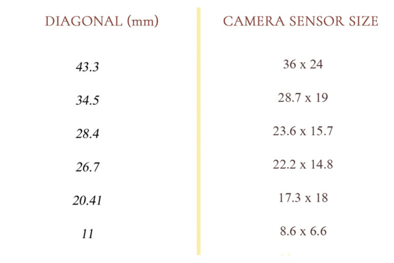 Camera sensor basics for beginners in photography.