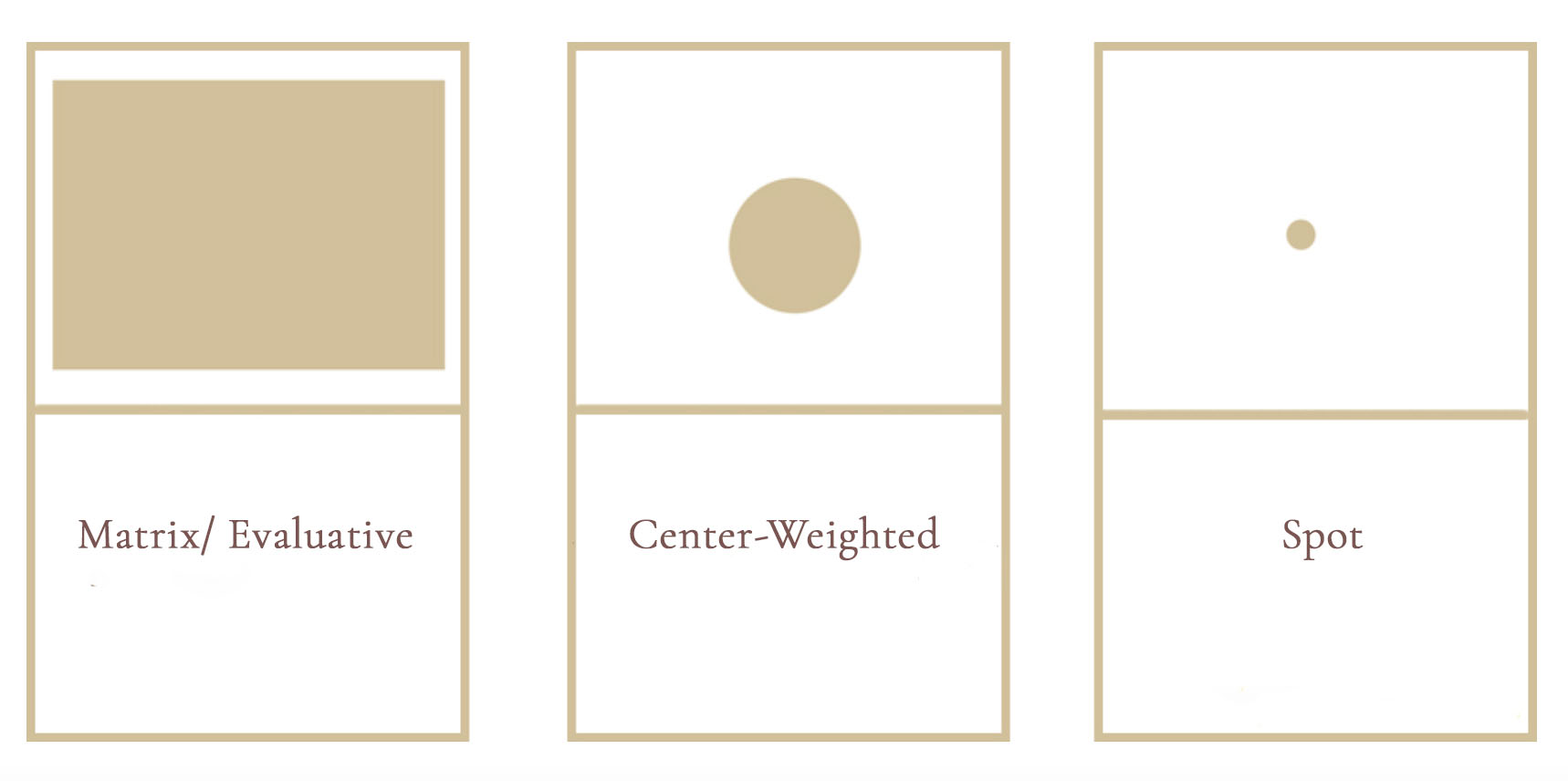 A Beginner's Guide to METERING in photography.
