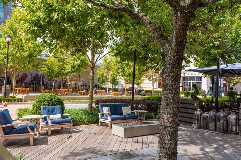 Best outdoor photoshoot locations in Alpharetta GA, parks, Avalon.