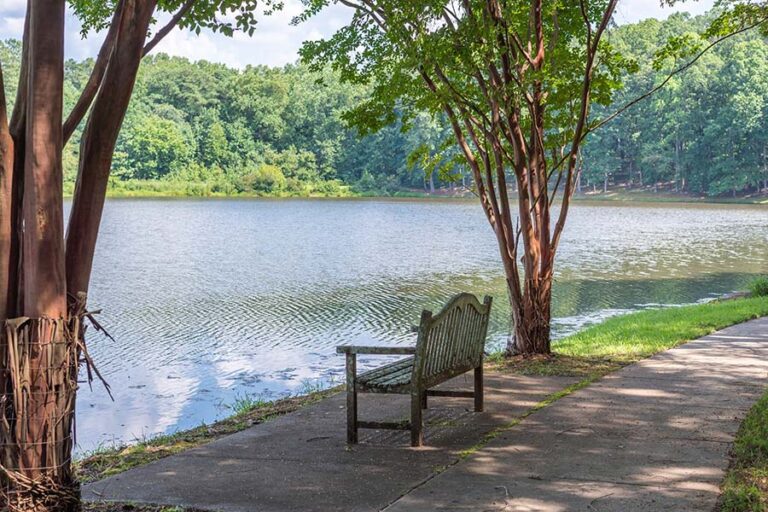 Best outdoor photoshoot locations in Alpharetta GA, parks, Avalon.